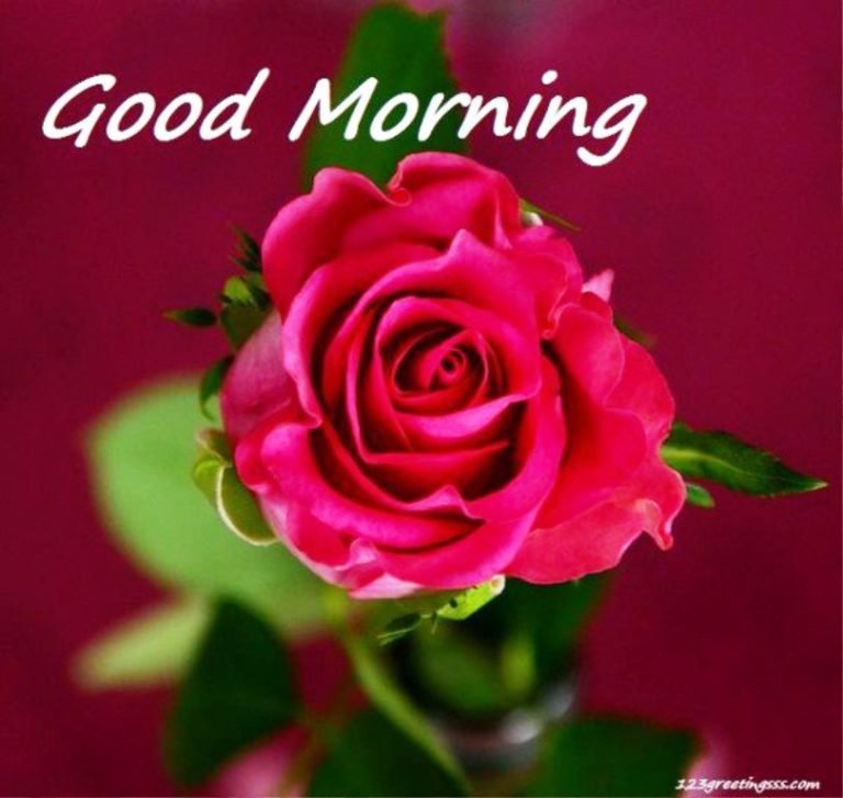 92 Good Morning Wishes With Rose - Good Morning Wishes