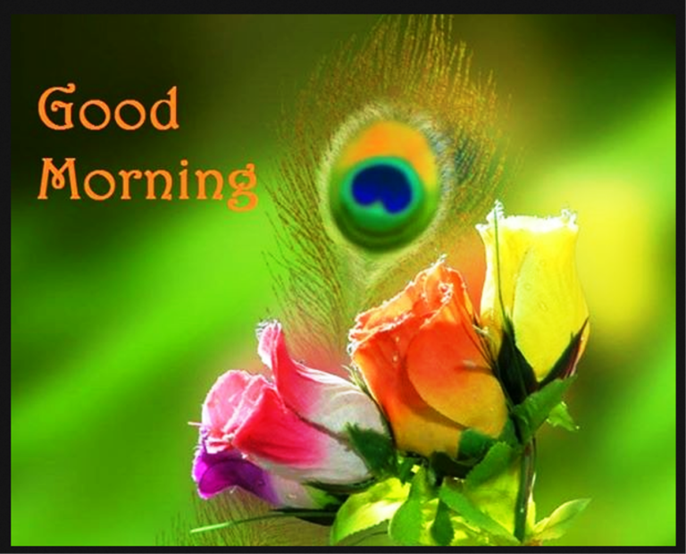 55 Fresh Good Morning Wishes - Good Morning Wishes