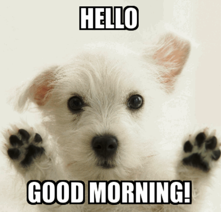 10 Hello Good Morning Wishes - Good Morning Wishes