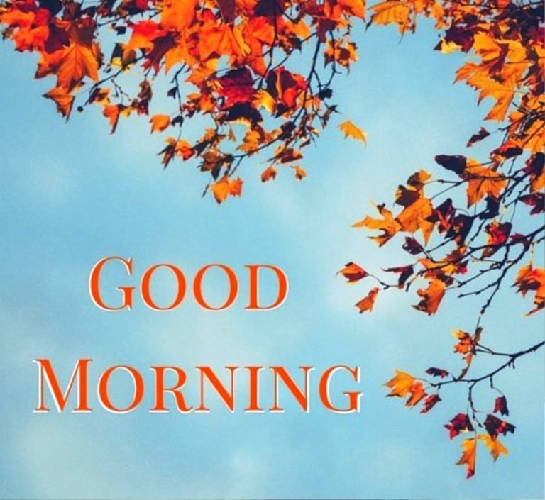 25 Spring Good Morning Wishes - Good Morning Wishes