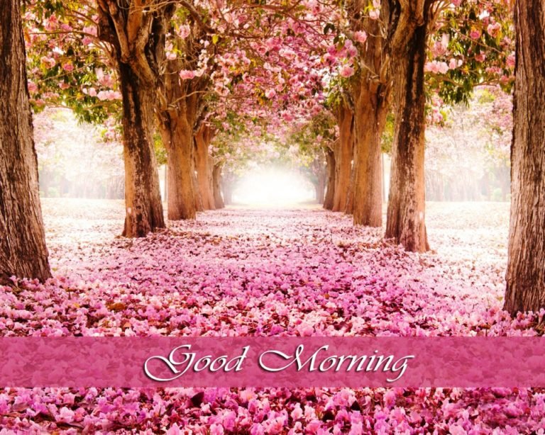 25 Spring Good Morning Wishes - Good Morning Wishes