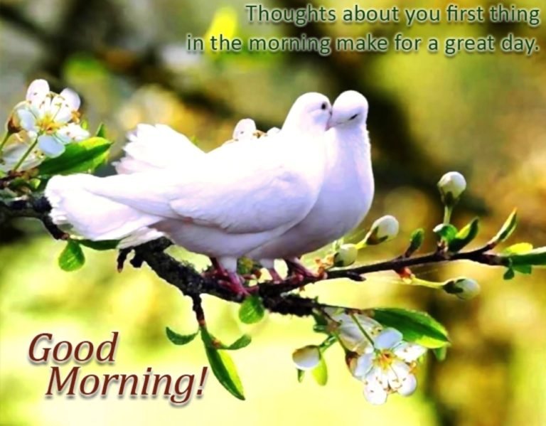 25 Spring Good Morning Wishes - Good Morning Wishes