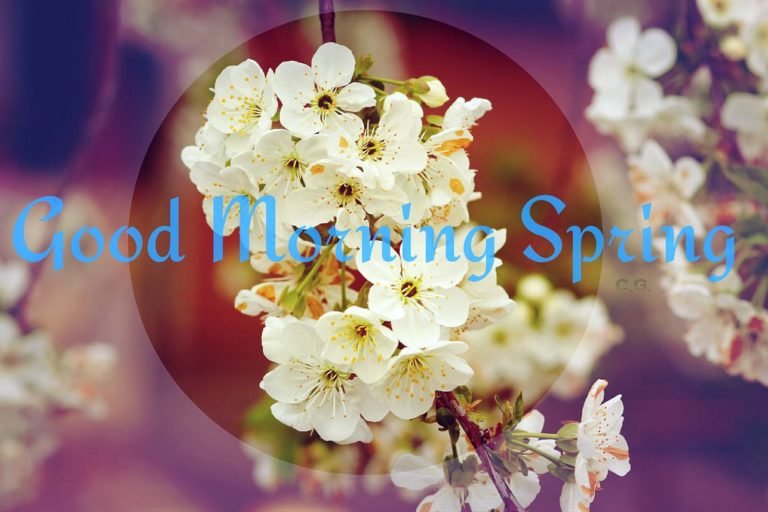 25 Spring Good Morning Wishes - Good Morning Wishes