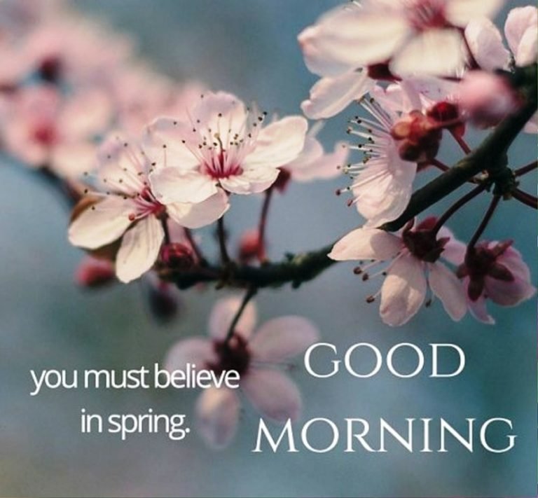 25 Spring Good Morning Wishes - Good Morning Wishes