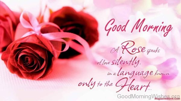 80+ Beautiful Good Morning Images With Roses - Good Morning Wishes