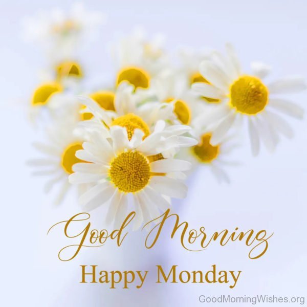 70+ Lovable Monday Good Morning Wishes - Good Morning Wishes