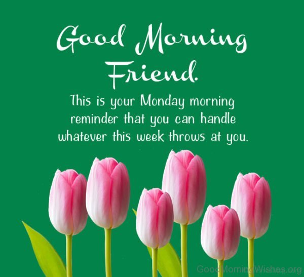 70+ Lovable Monday Good Morning Wishes - Good Morning Wishes
