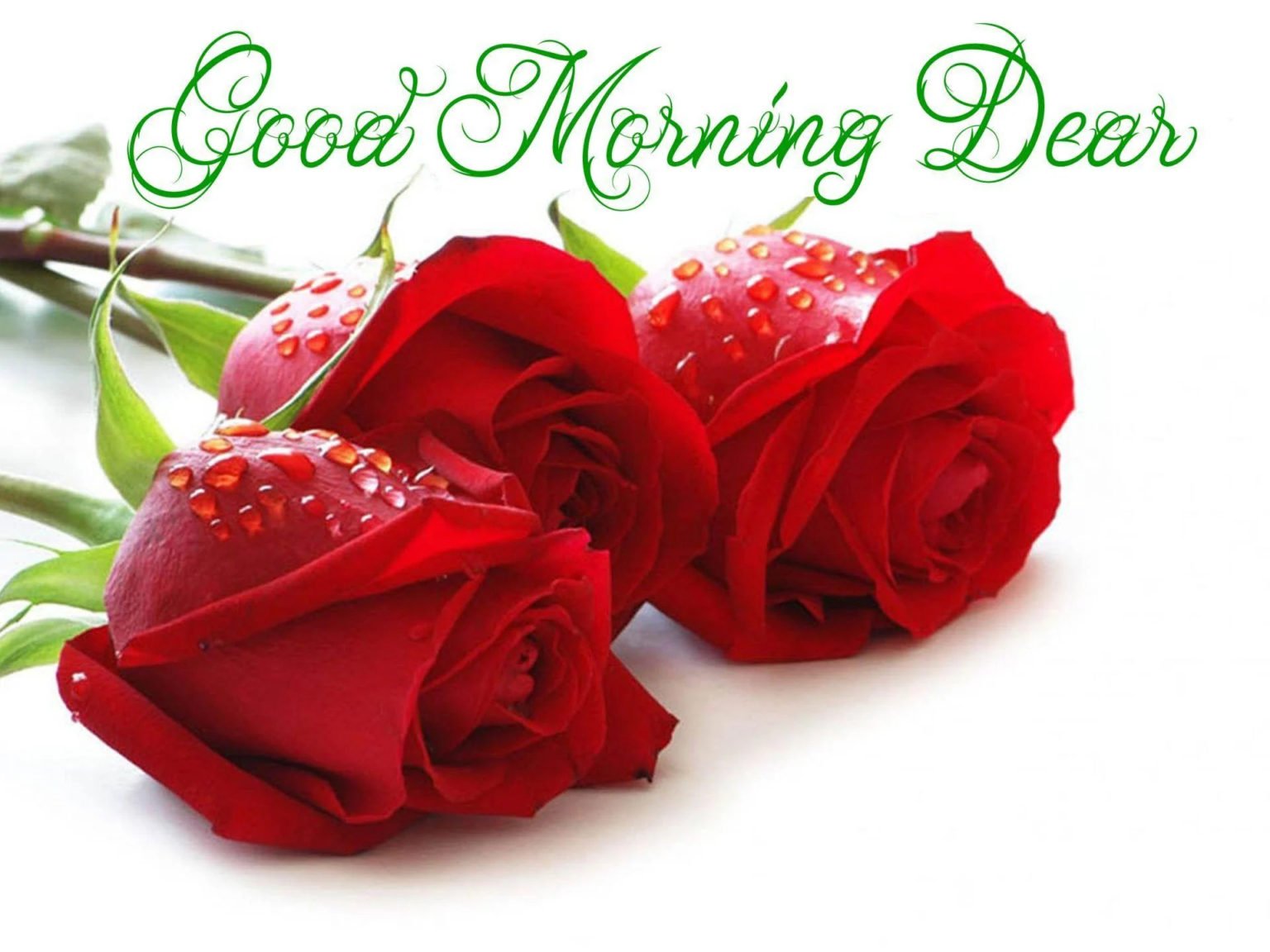 80+ Beautiful Good Morning Images With Roses - Good Morning Wishes