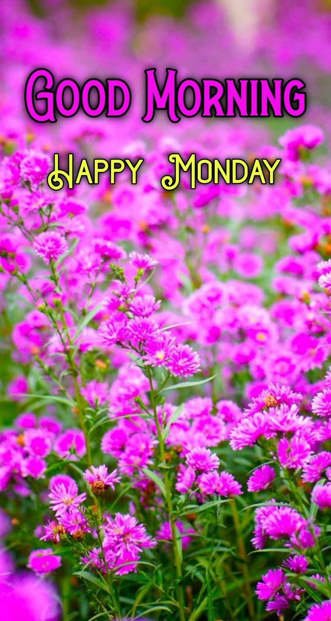 70+ Lovable Monday Good Morning Wishes - Good Morning Wishes