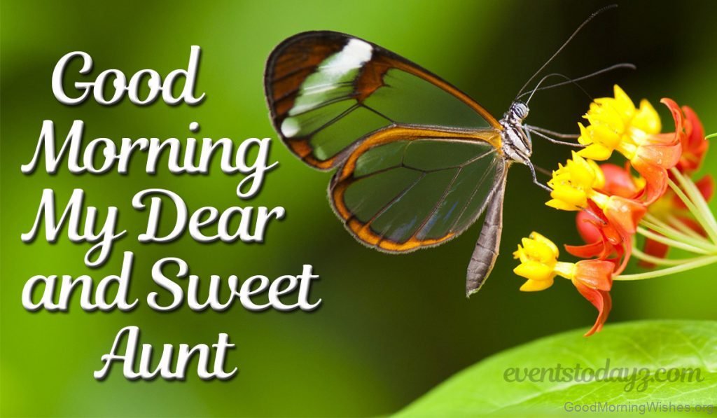 20+ Lovely Good Morning Wishes For Aunt - Good Morning Wishes