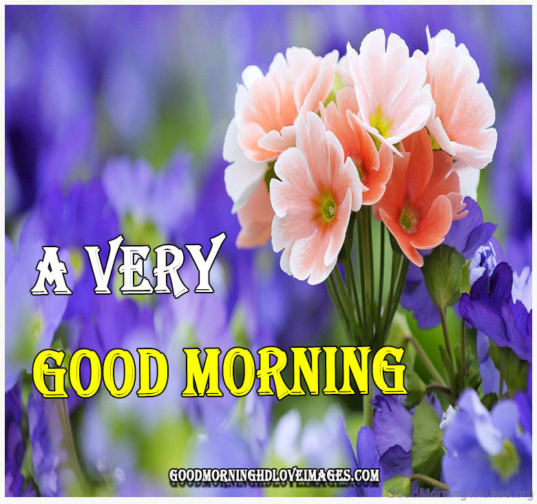 25+ Very Good Morning Wishes - Good Morning Wishes