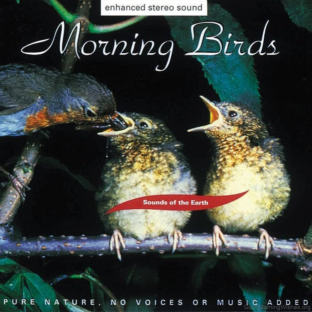 30+ Birds Good Morning Wishes - Good Morning Wishes