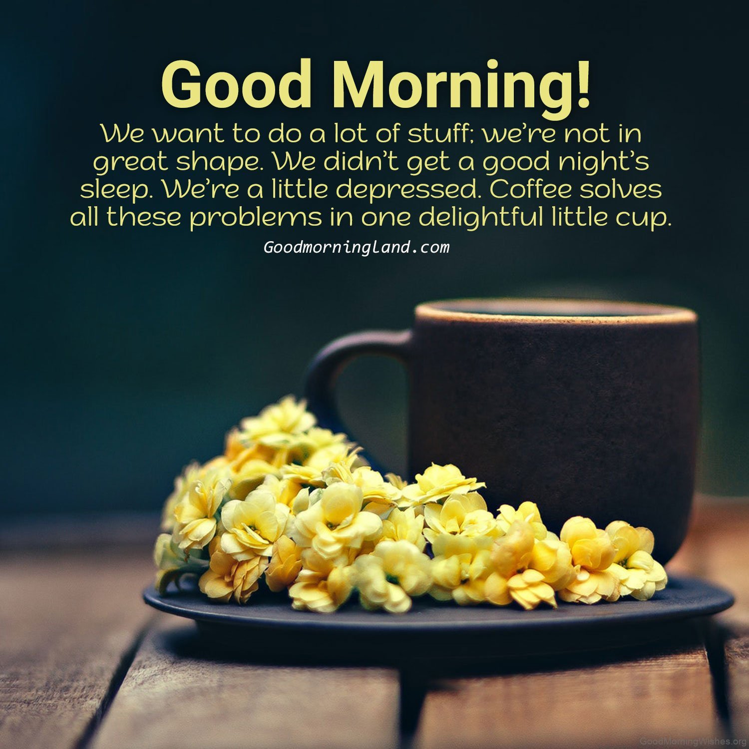 35+ Beautiful Good Morning Coffee - Good Morning Wishes