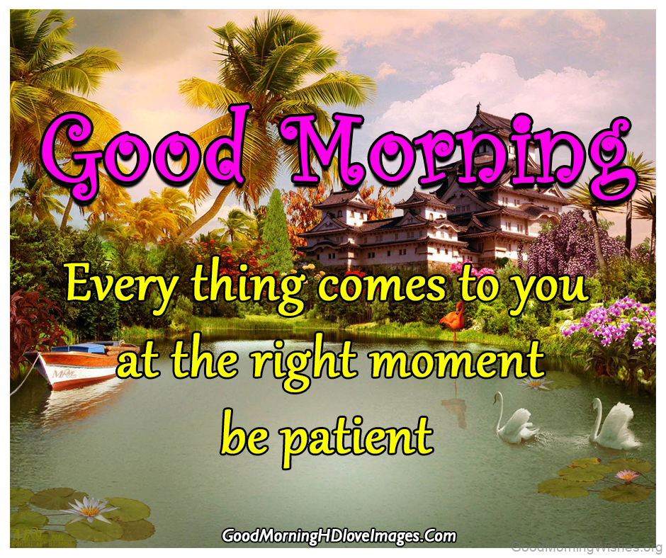 50+ Nature Good Morning Wishes - Good Morning Wishes