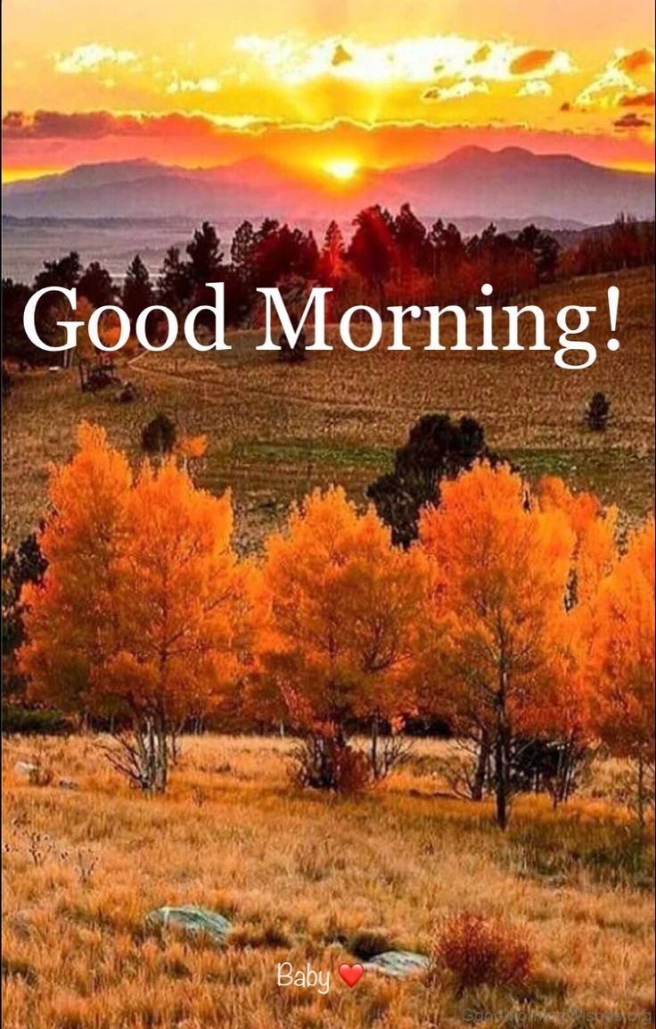 50+ Good Morning Beautiful Nature - Good Morning Wishes