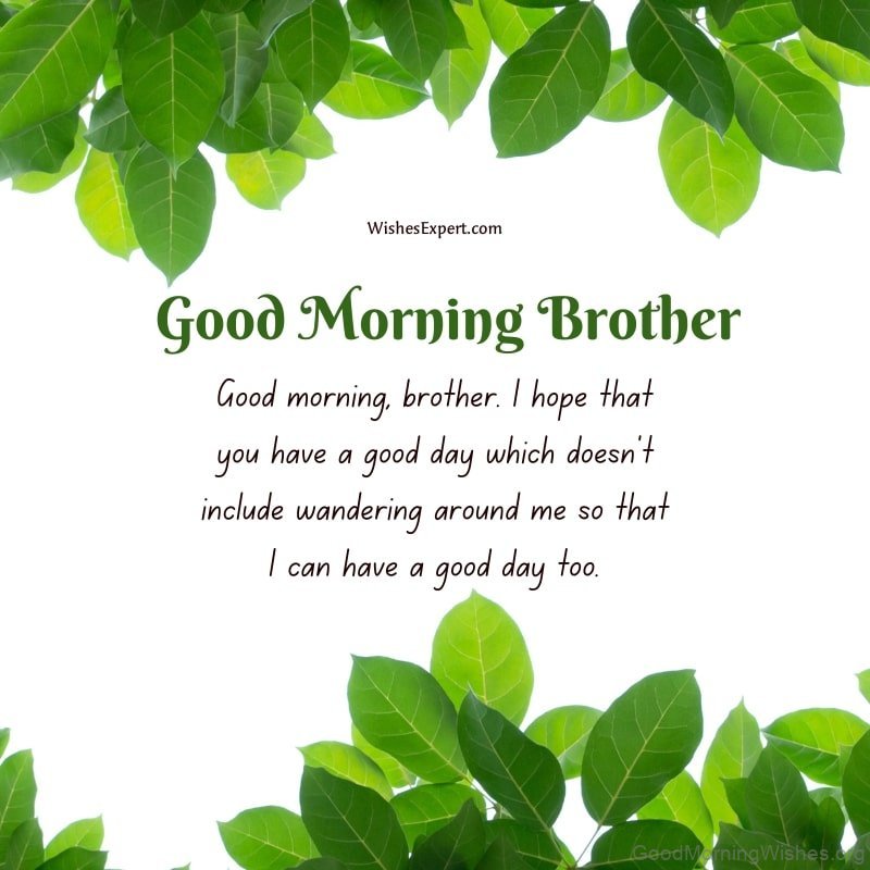 25+ Good Morning Blessing For Brother - Good Morning Wishes