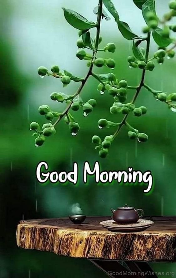 25+ Good Morning Rain & Coffee Wishes - Good Morning Wishes