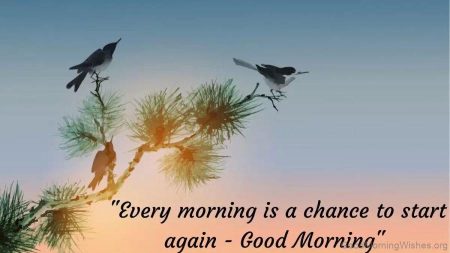 30+ Wisdom Good Morning Wishes - Good Morning Wishes