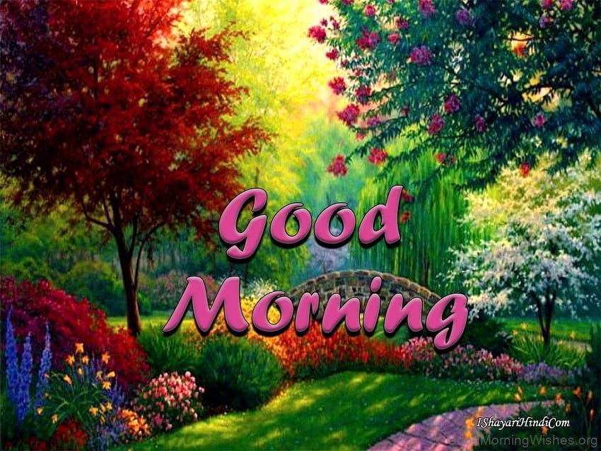 30+ Good Morning Wish Scenery - Good Morning Wishes
