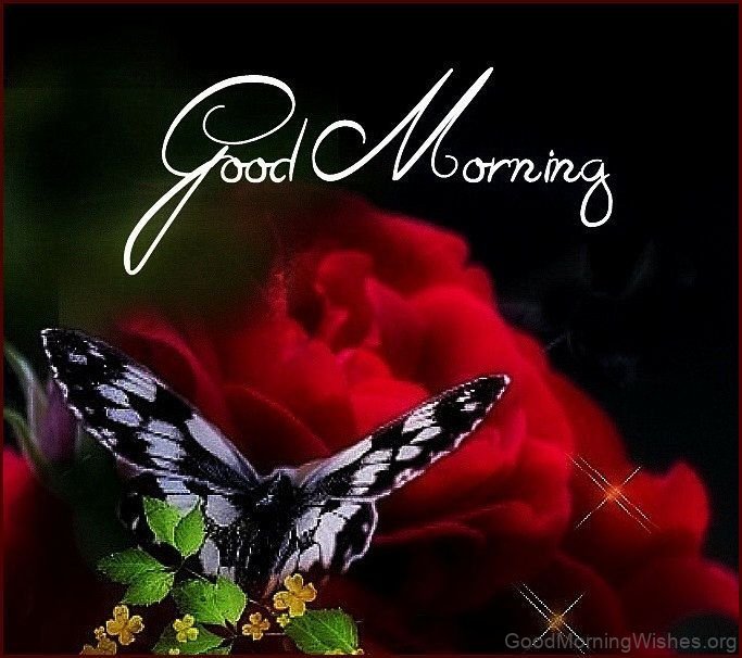 50+ Good Morning Wishes With Butterfly - Good Morning Wishes