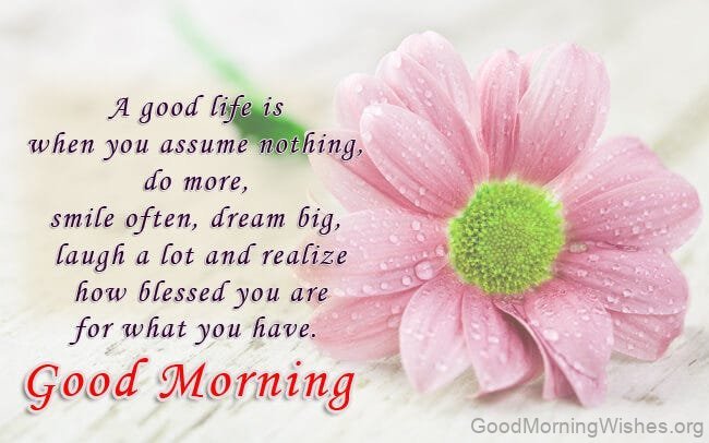 30+ Good Morning Wishes Inspiration Pictures - Good Morning Wishes