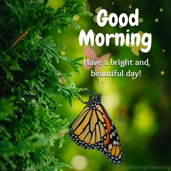 50+ Good Morning Beautiful Nature - Good Morning Wishes
