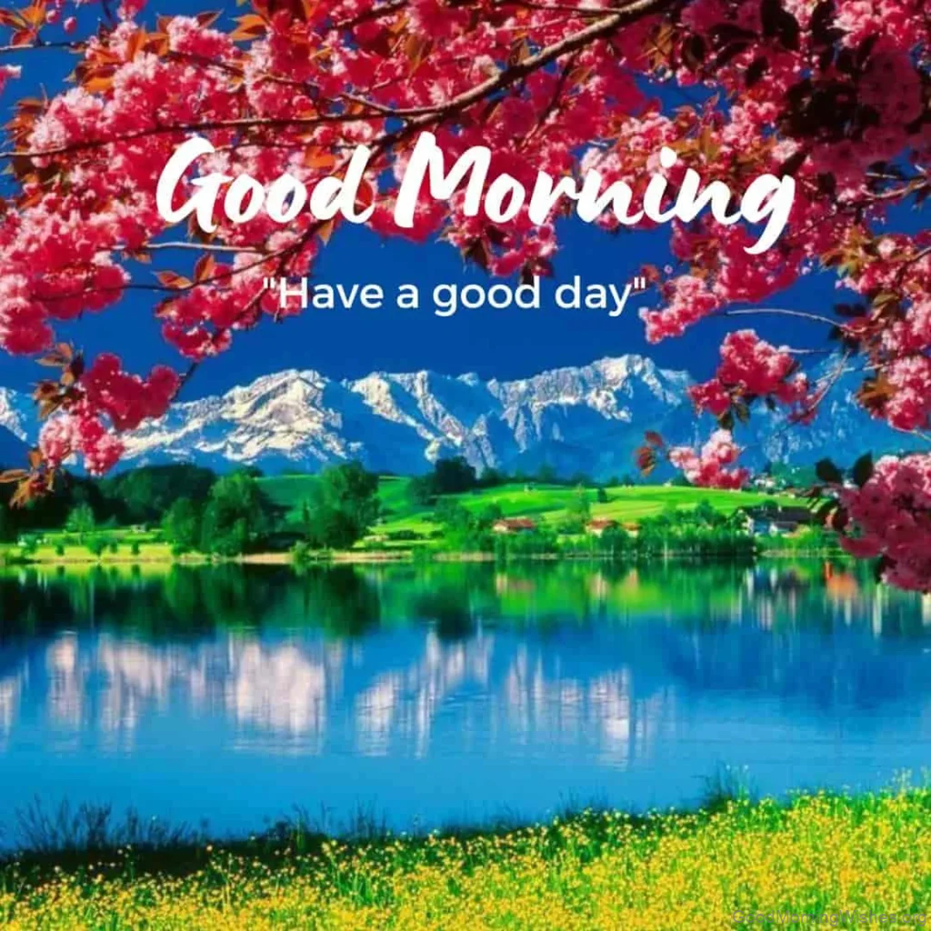 30+ Good Morning Wish Scenery - Good Morning Wishes