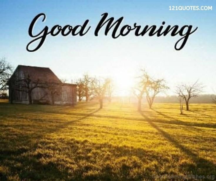 50+ Nature Good Morning Wishes - Good Morning Wishes