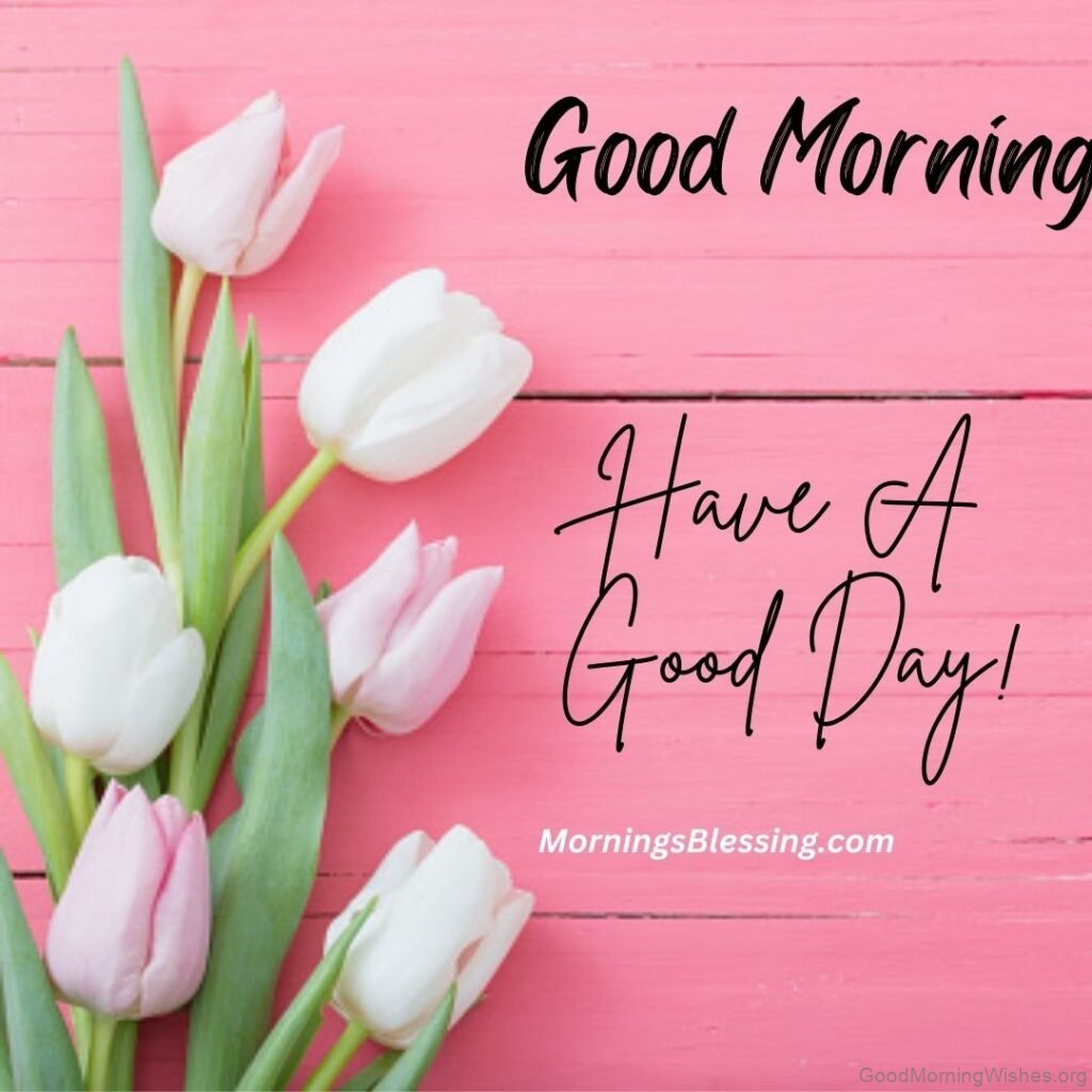 35+ Good Morning Tulips Images - Good Morning Wishes