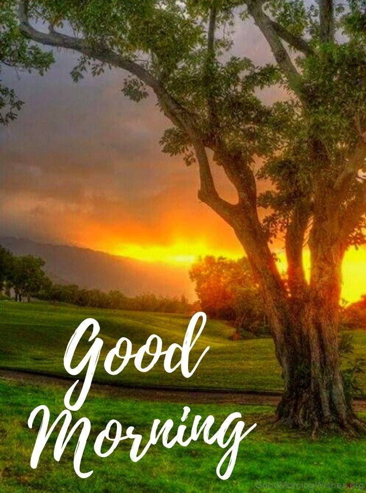 50+ Good Morning Beautiful Nature - Good Morning Wishes