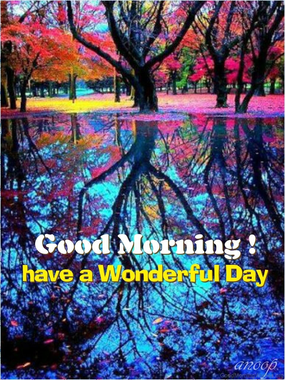 30+ Good Morning Wish Scenery - Good Morning Wishes