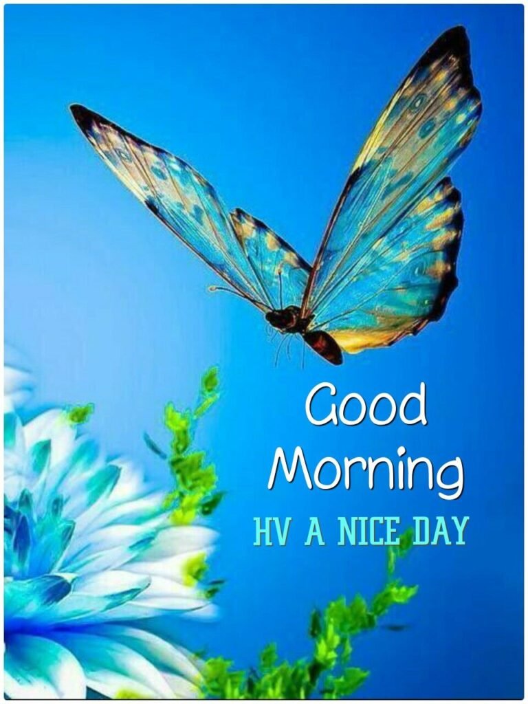 50+ Good Morning Wishes With Butterfly - Good Morning Wishes