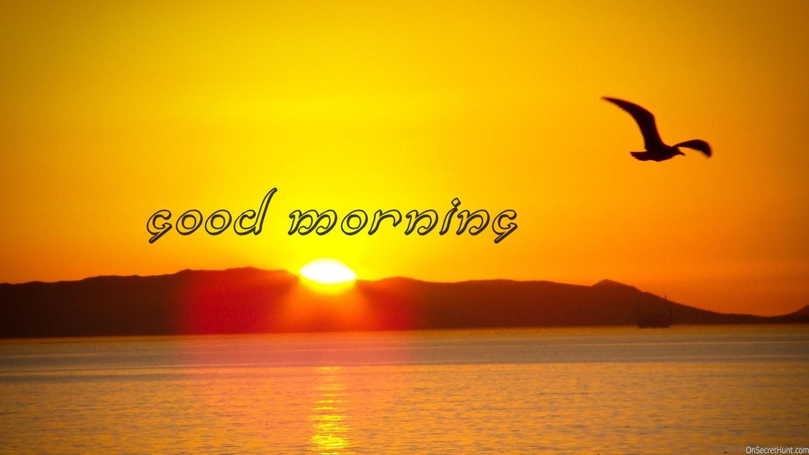 30+ Good Morning Wishes With Rising Sun - Good Morning Wishes