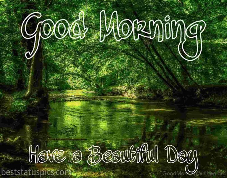 30+ Good Morning Wish Scenery - Good Morning Wishes