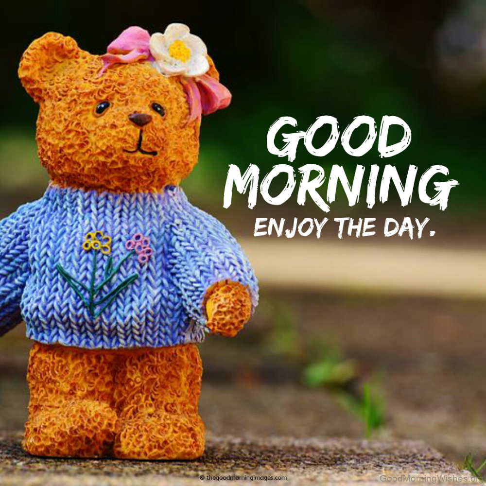 30+ Good Morning Cute Teddy Bear - Good Morning Wishes