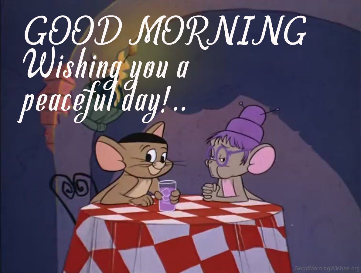 35+ Tom And Jerry Good Morning - Good Morning Wishes