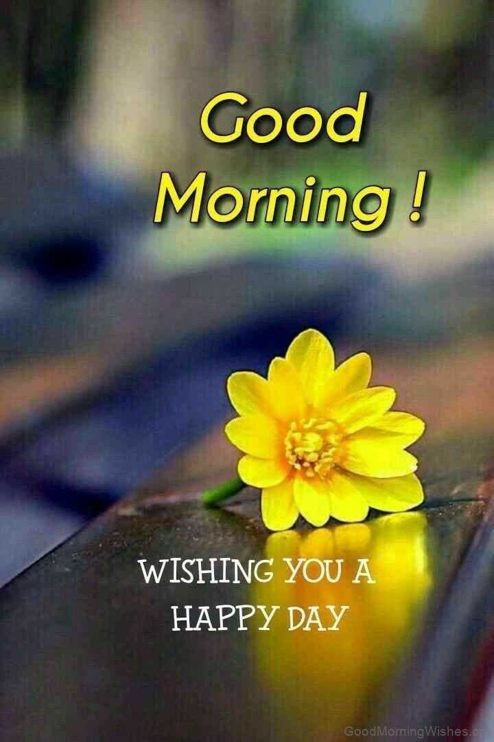 30+ Beautiful Good Morning Images - Good Morning Wishes