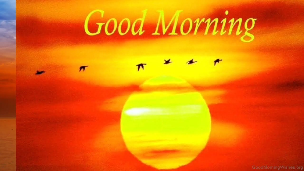 30+ Good Morning Wishes With Rising Sun - Good Morning Wishes