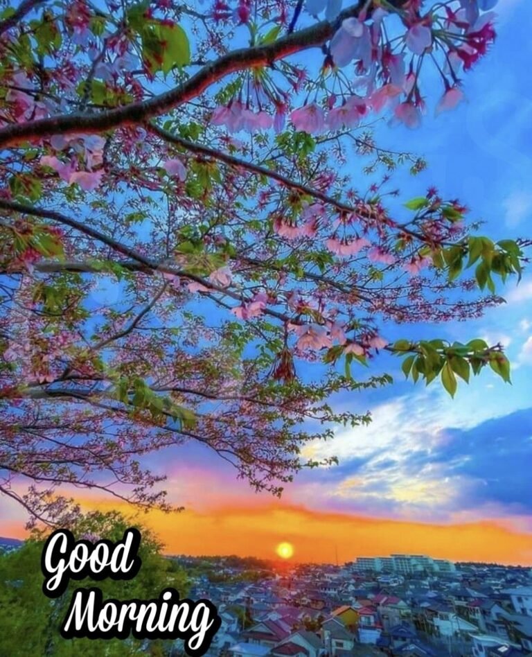 30+ Good Morning Wish Scenery - Good Morning Wishes