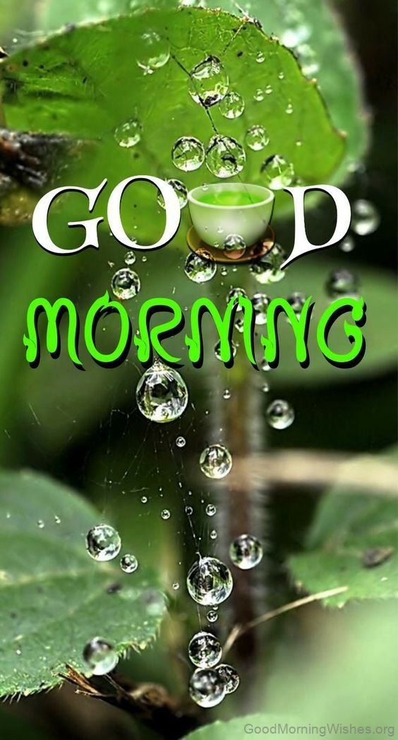 25+ Good Morning Rain & Coffee Wishes - Good Morning Wishes