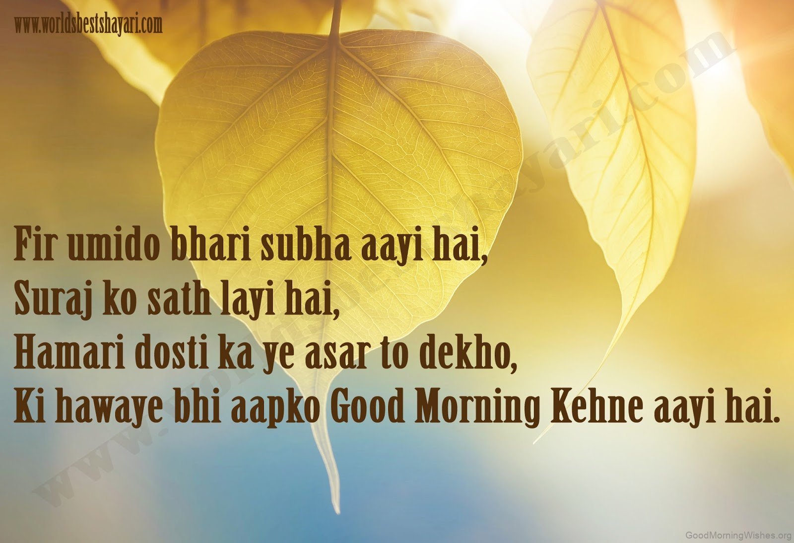 30+ Good Morning Wishes With Shayari - Good Morning Wishes