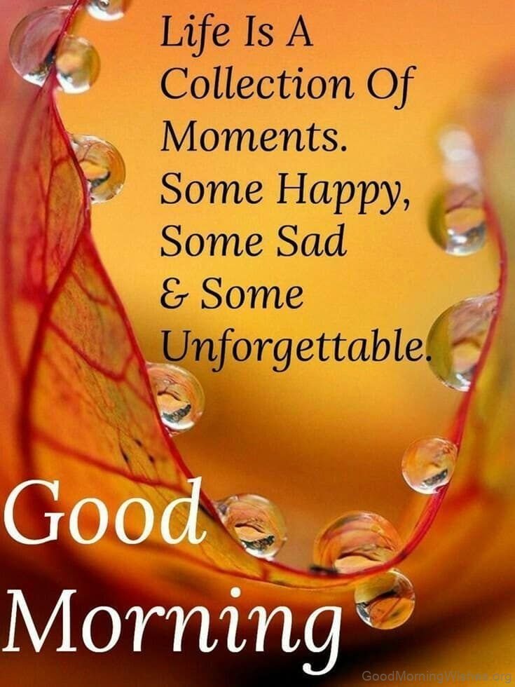 25+ Meaningful Good Morning Wishes - Good Morning Wishes