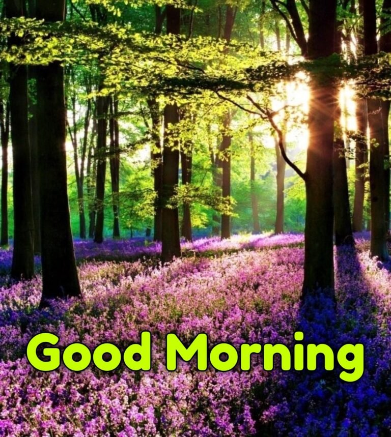 50+ Good Morning Beautiful Nature - Good Morning Wishes