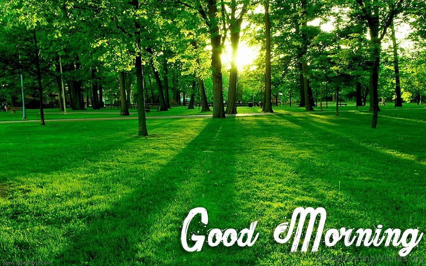 50+ Good Morning Beautiful Nature - Good Morning Wishes