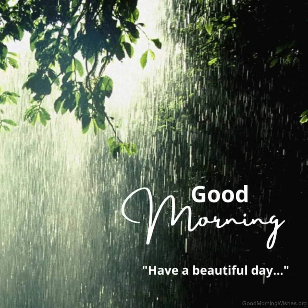 45+ Good Morning Wishes Rain Images - Good Morning Wishes
