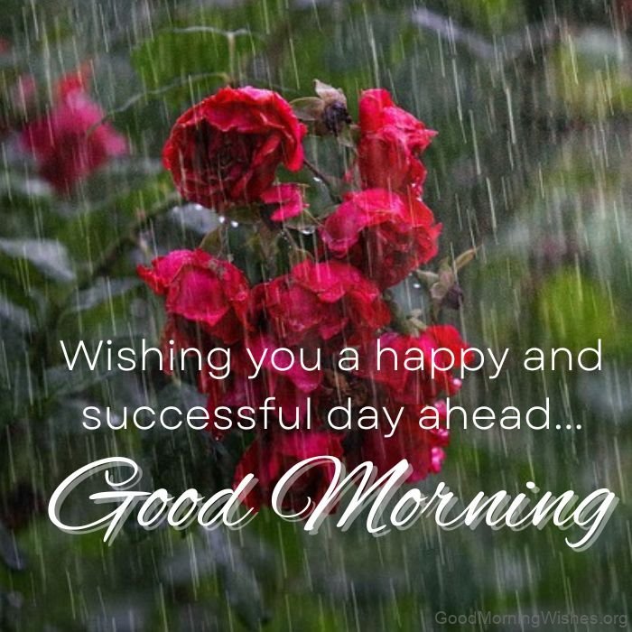 45+ Good Morning Wishes Rain Images - Good Morning Wishes