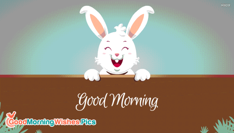 35+ Good Morning Rabbit Images - Good Morning Wishes